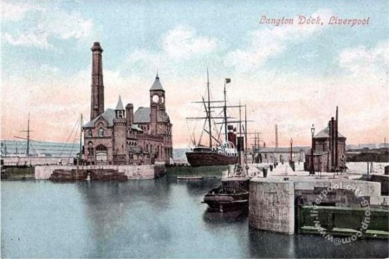 GENETIC MEMORY AND IMAGINATION - Tricia Snell